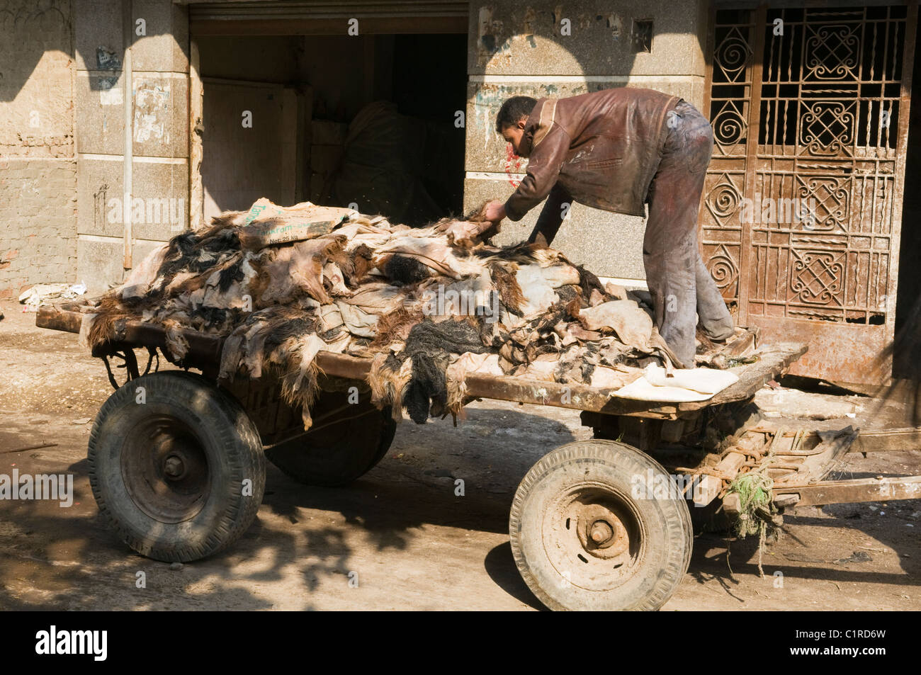 Tannery worker hi-res stock photography and images - Alamy