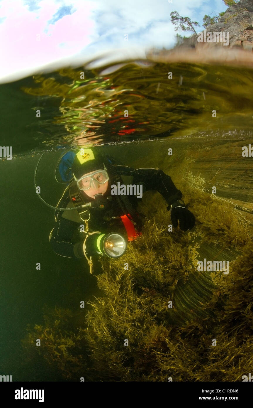 Split level, scuba diving in the Arctic, Russia, Kareliya, White sea ...