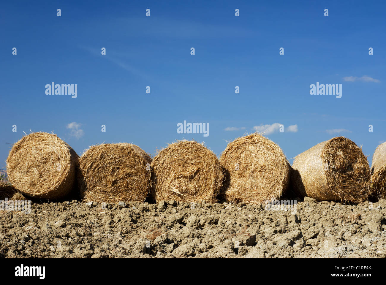 Soil line hi-res stock photography and images - Alamy