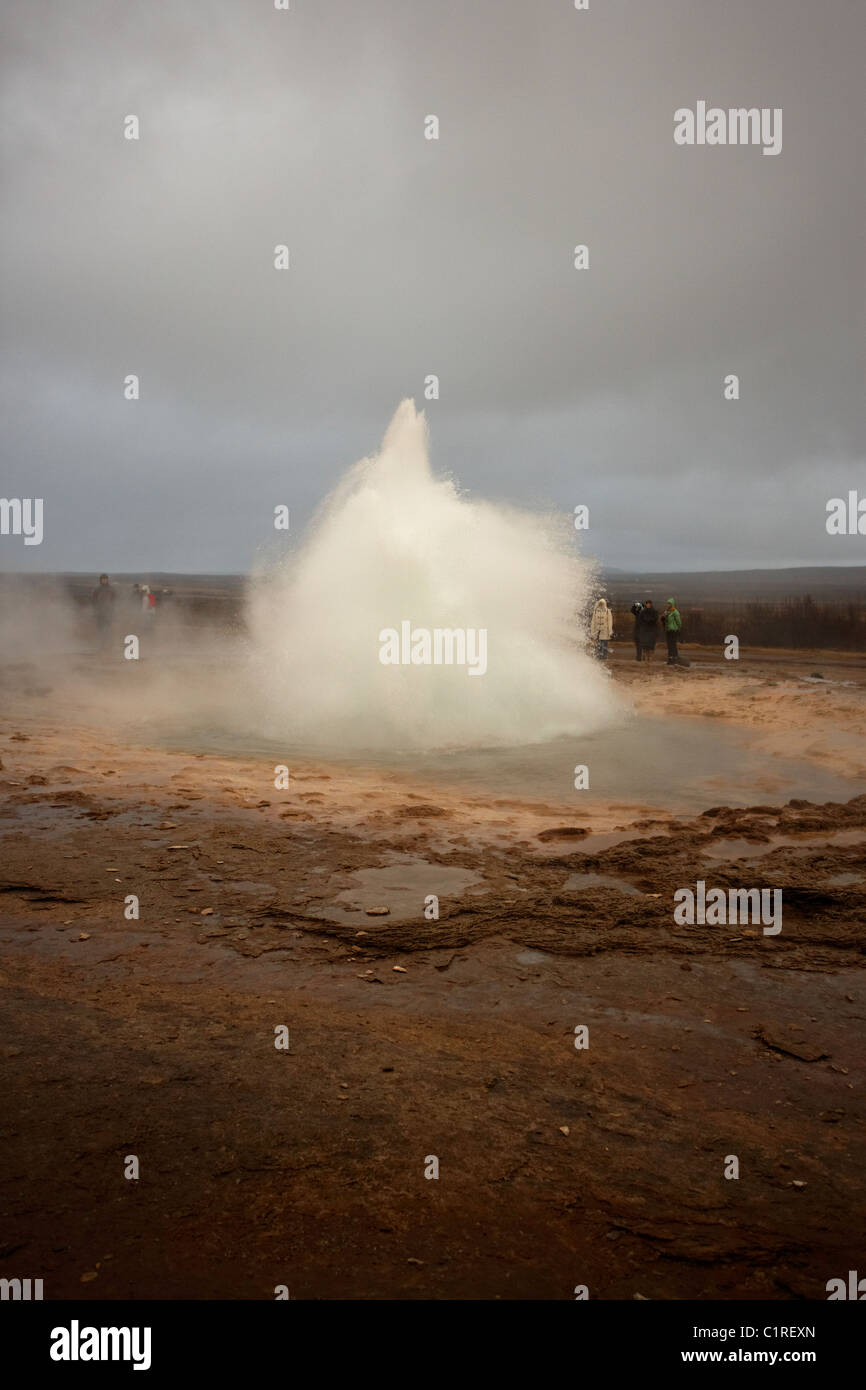 Geothermal Geyser in Iceland Stock Photo - Alamy