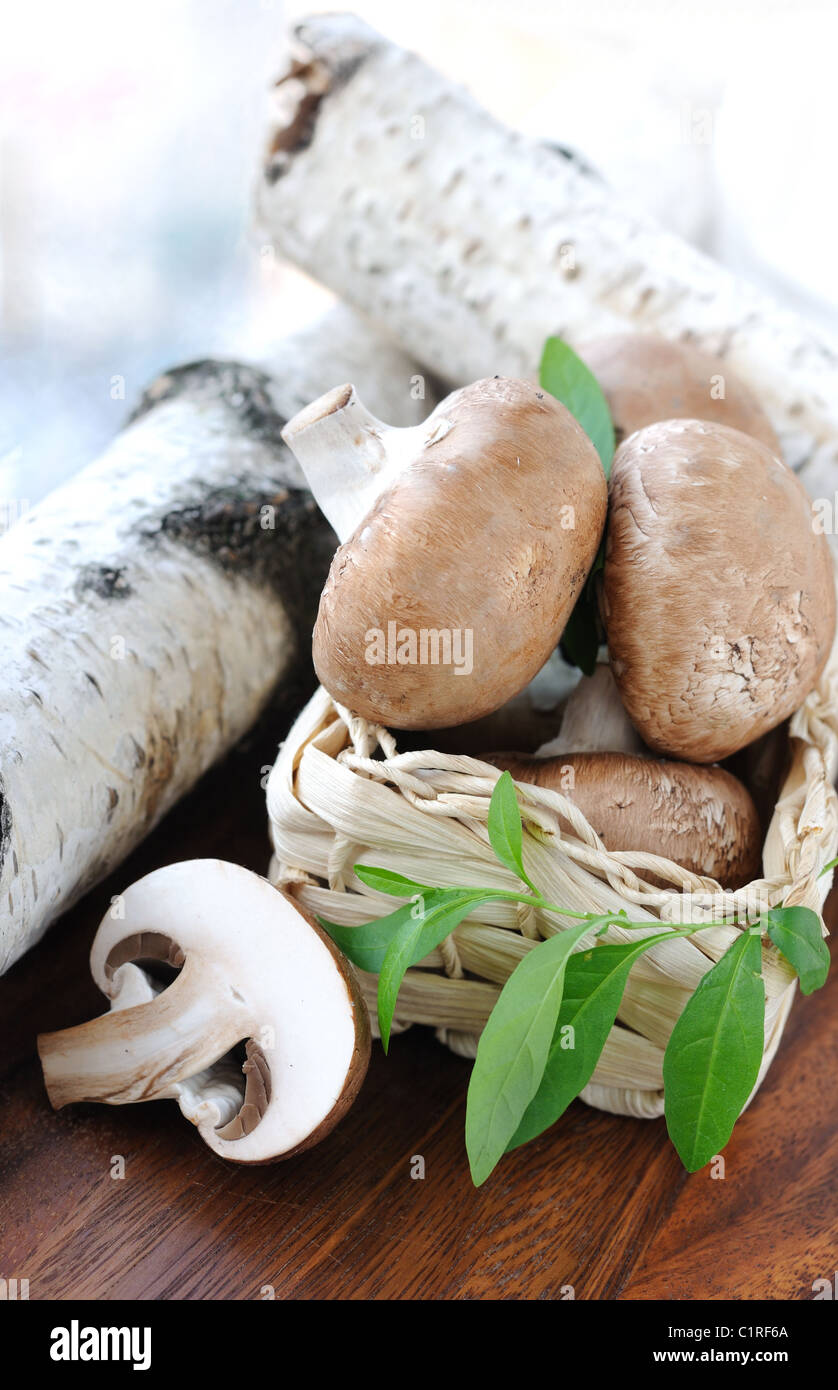 Champignon hi-res stock photography and images - Alamy