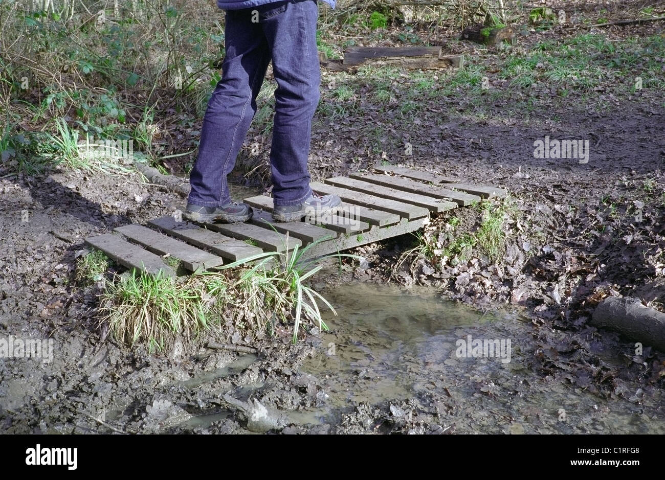 Man Walking Across a Small Wooden Footbridge Over a Stream, UK MODEL ...