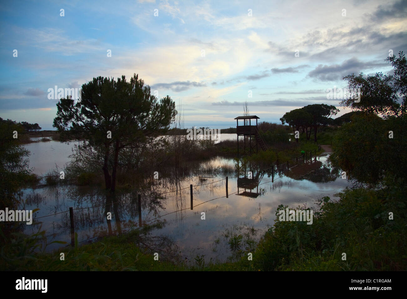 Flooded nature reserve hi-res stock photography and images - Alamy