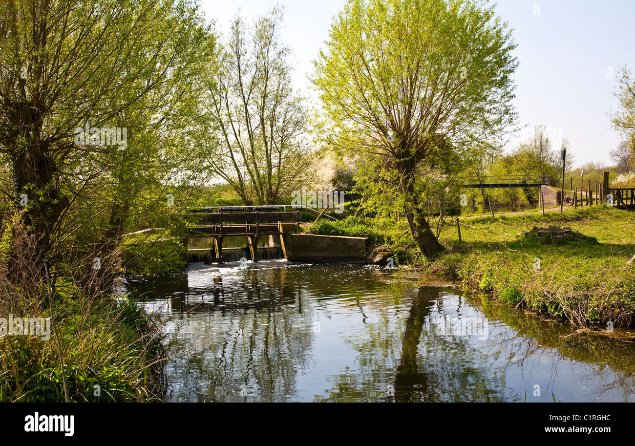 Spring time and country stream Stock Photo - Alamy