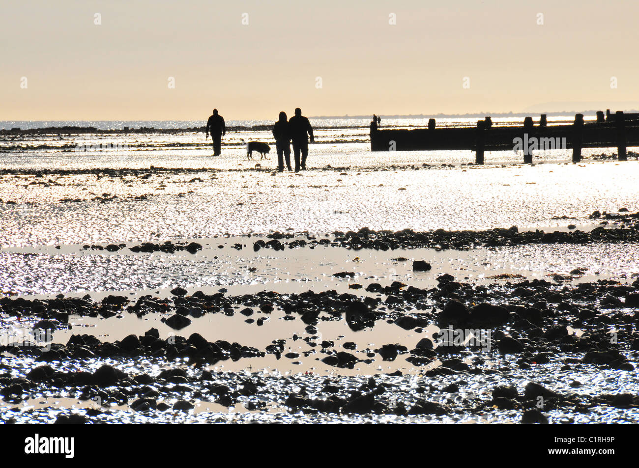 Climping beach sussex dog hi-res stock photography and images - Alamy
