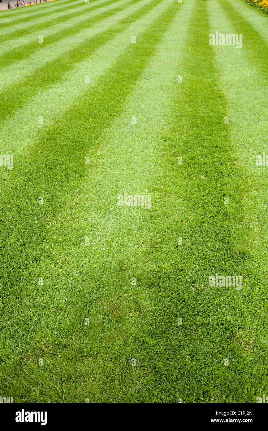 Best botanical gardens hi-res stock photography and images - Alamy