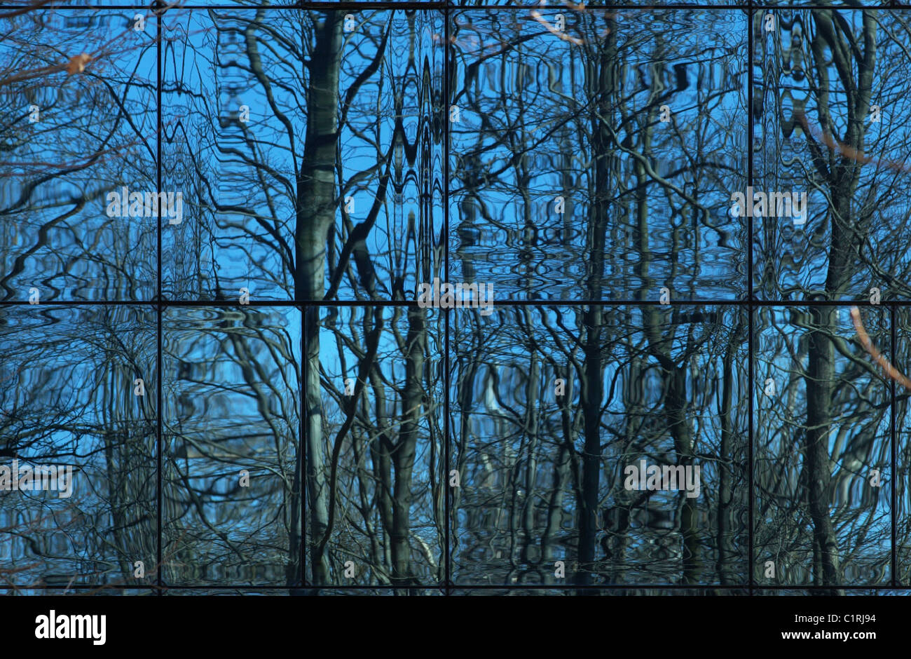 Reflections in the glass building Stock Photo - Alamy