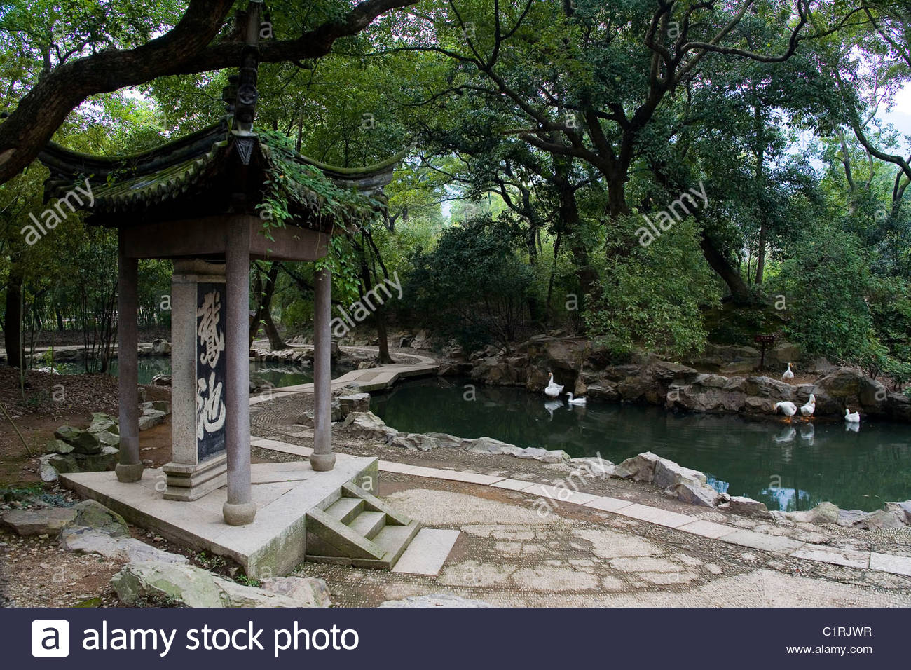 The Orchid China Stock Photos & The Orchid China Stock Images - Alamy