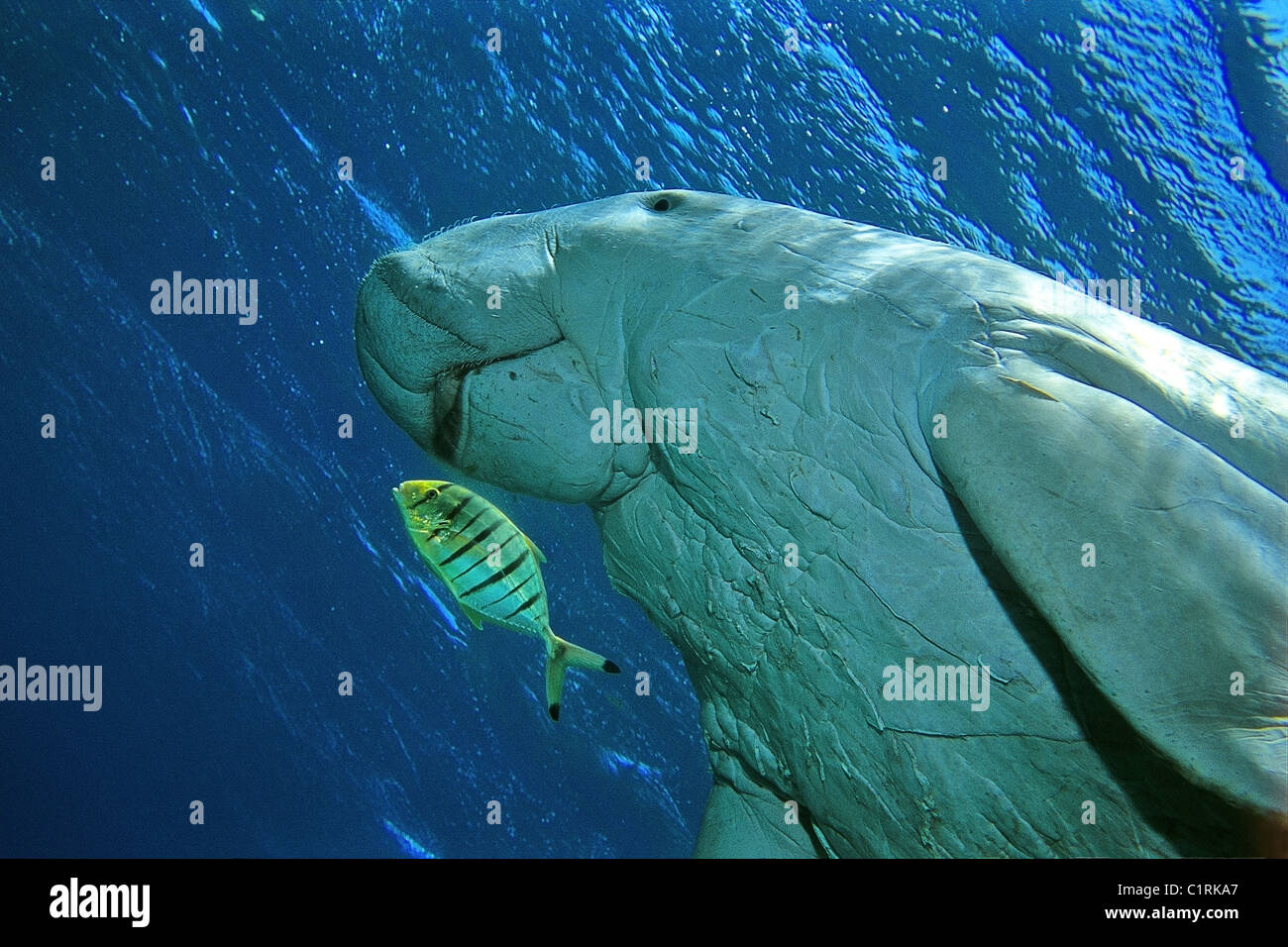 Doejong hi-res stock photography and images - Alamy