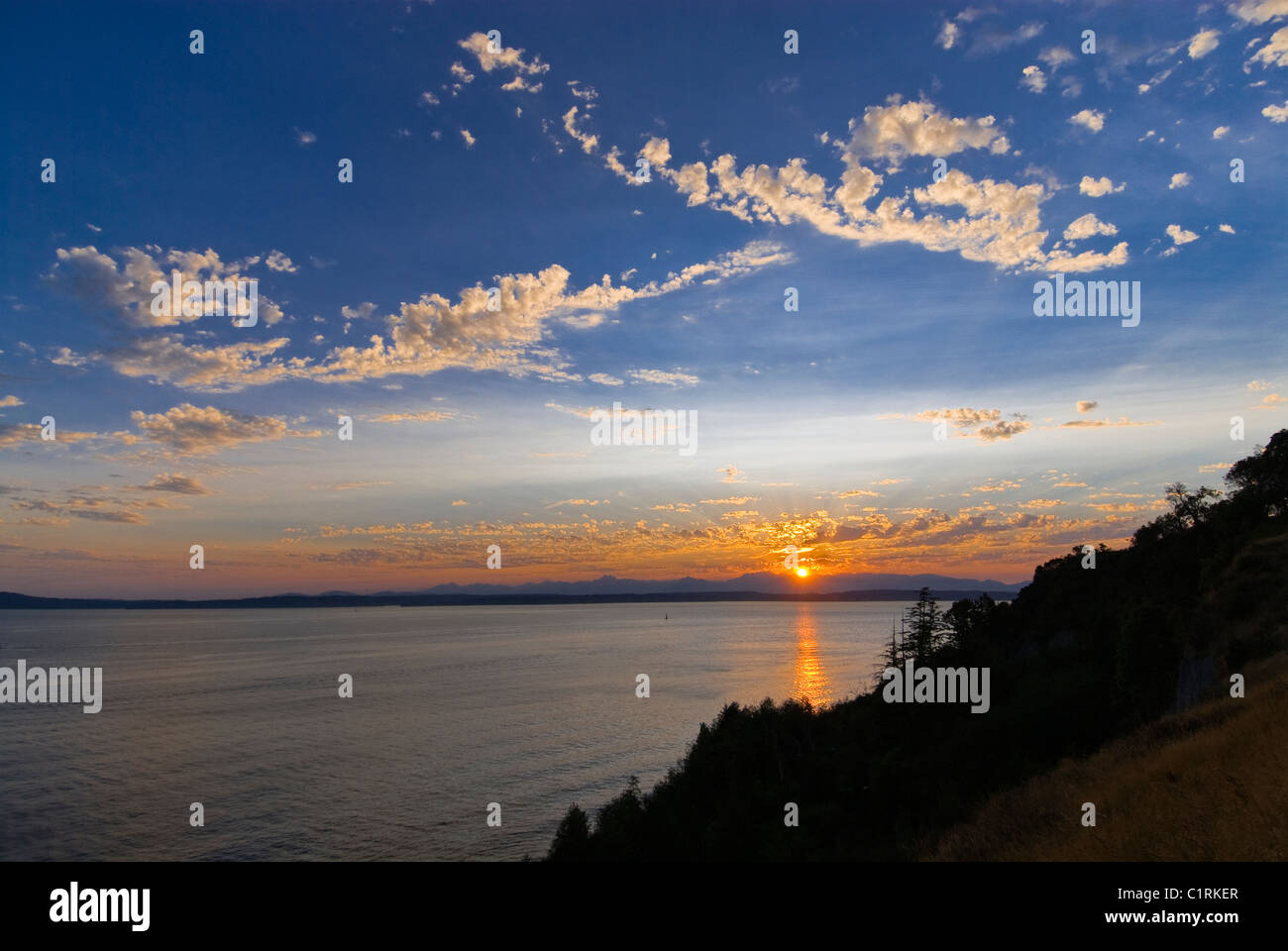 From magnolia bluff hi-res stock photography and images - Alamy