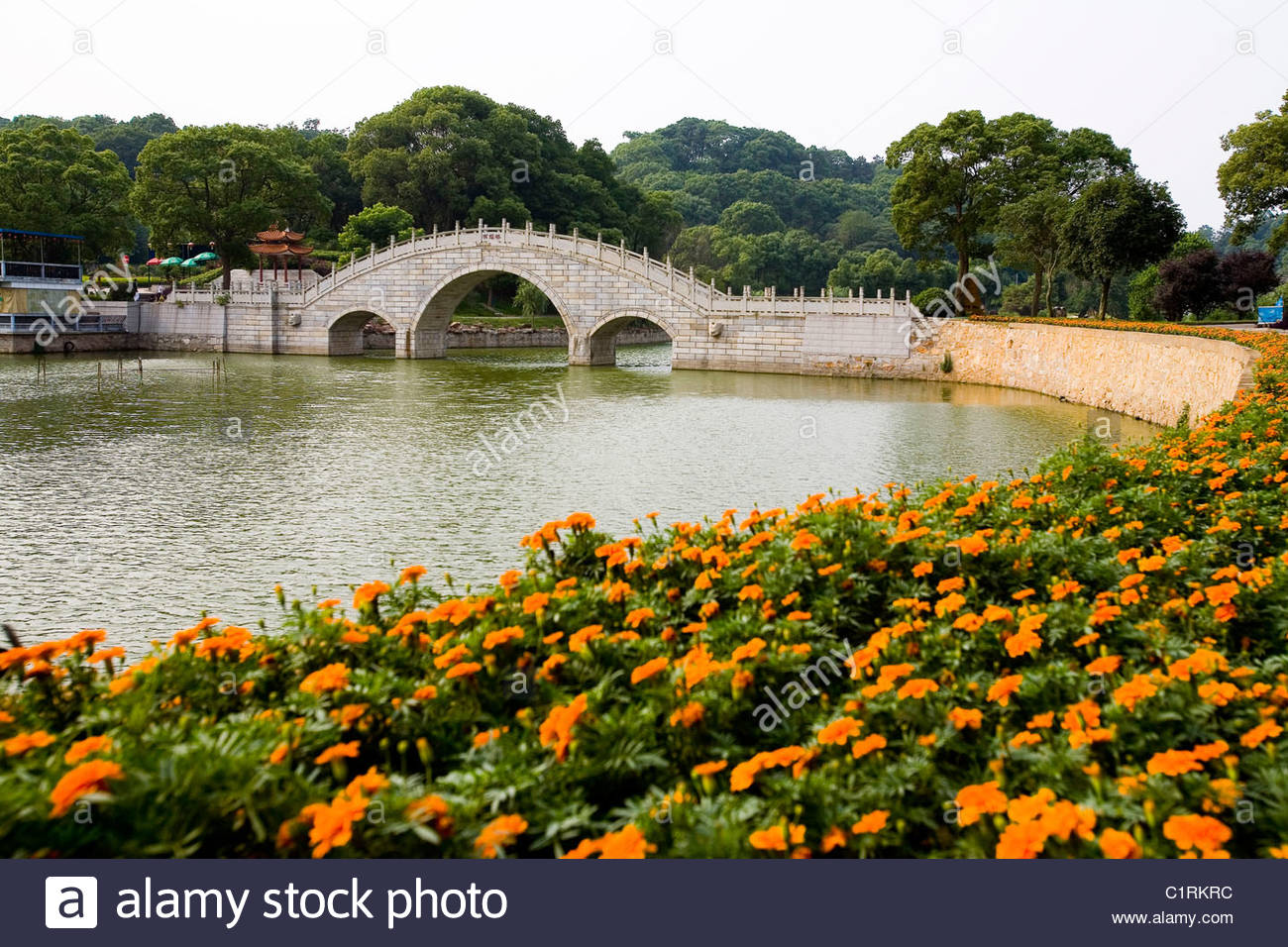 Dongting Lake Bridge Stock Photos & Dongting Lake Bridge Stock Images ...