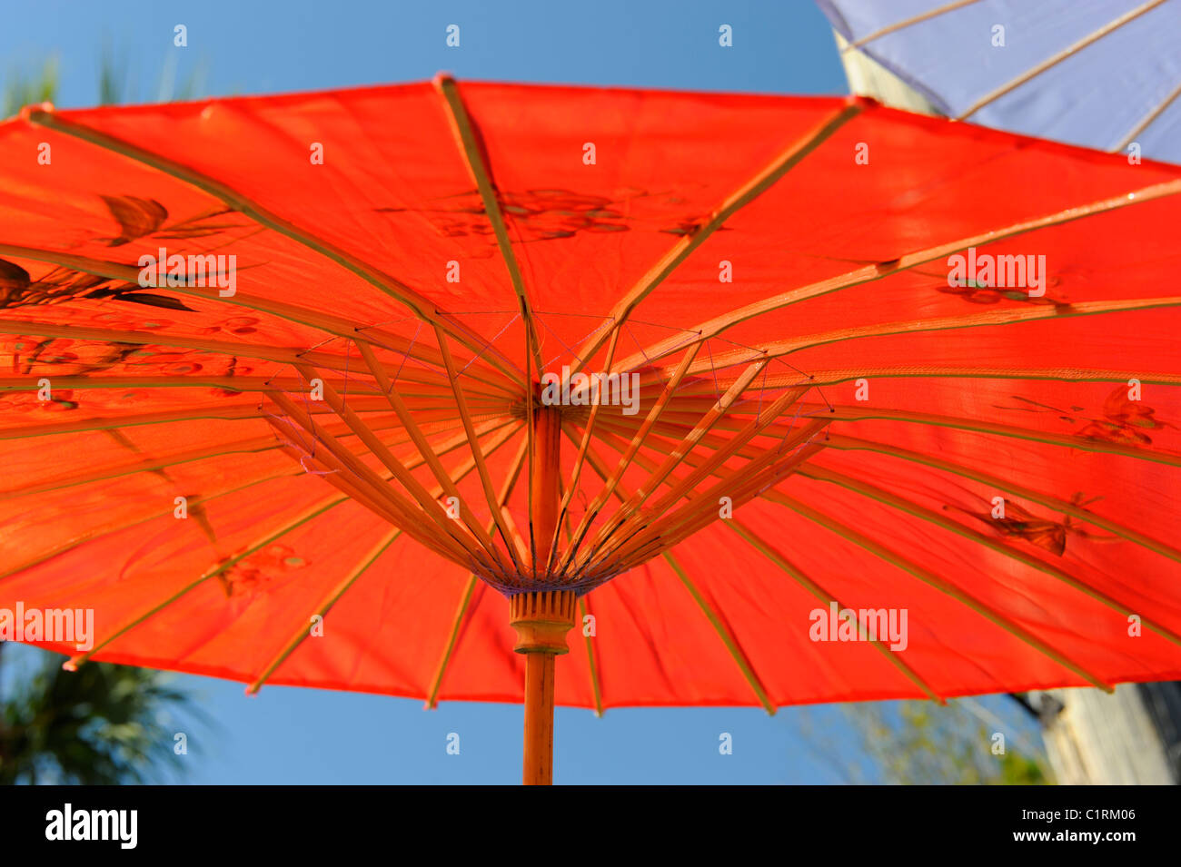 Colorful parasol umbrella Stock Photo - Alamy