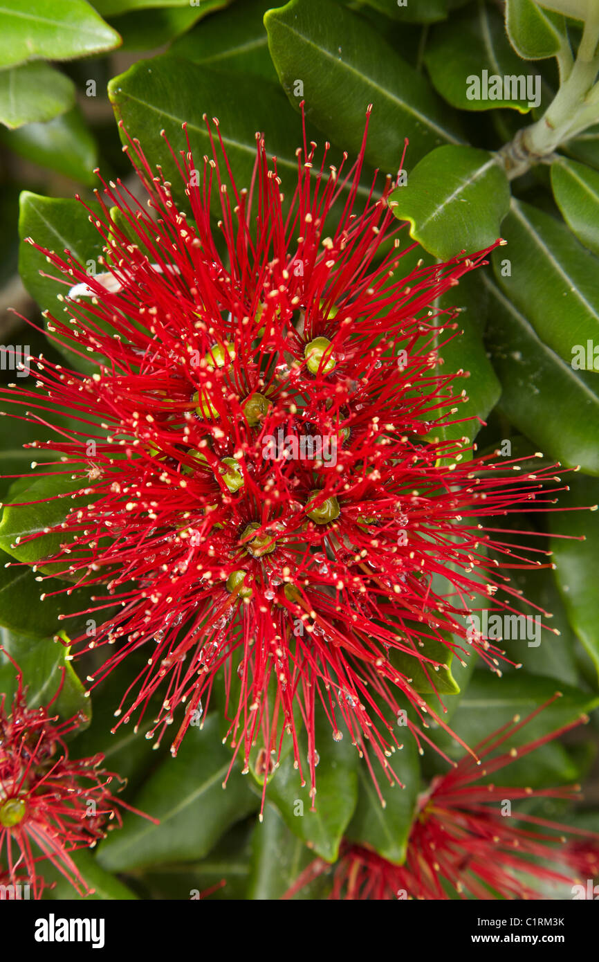 Karikari peninsula new zealand hi-res stock photography and images - Alamy