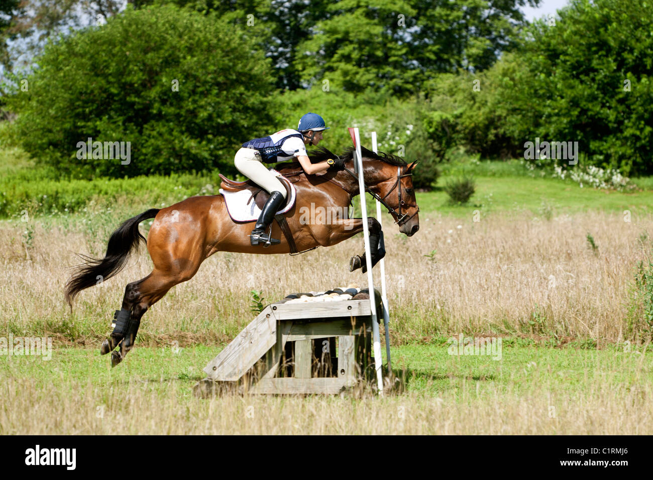 Equestrian woman hi-res stock photography and images - Alamy