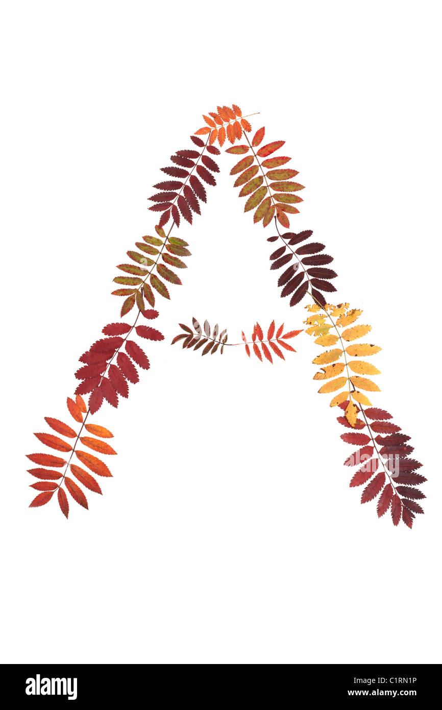 Autumn alphabet hi-res stock photography and images - Alamy