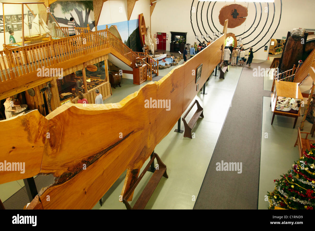 Giant plank from kauri tree, The Kauri Museum, Matakohe, Northland ...