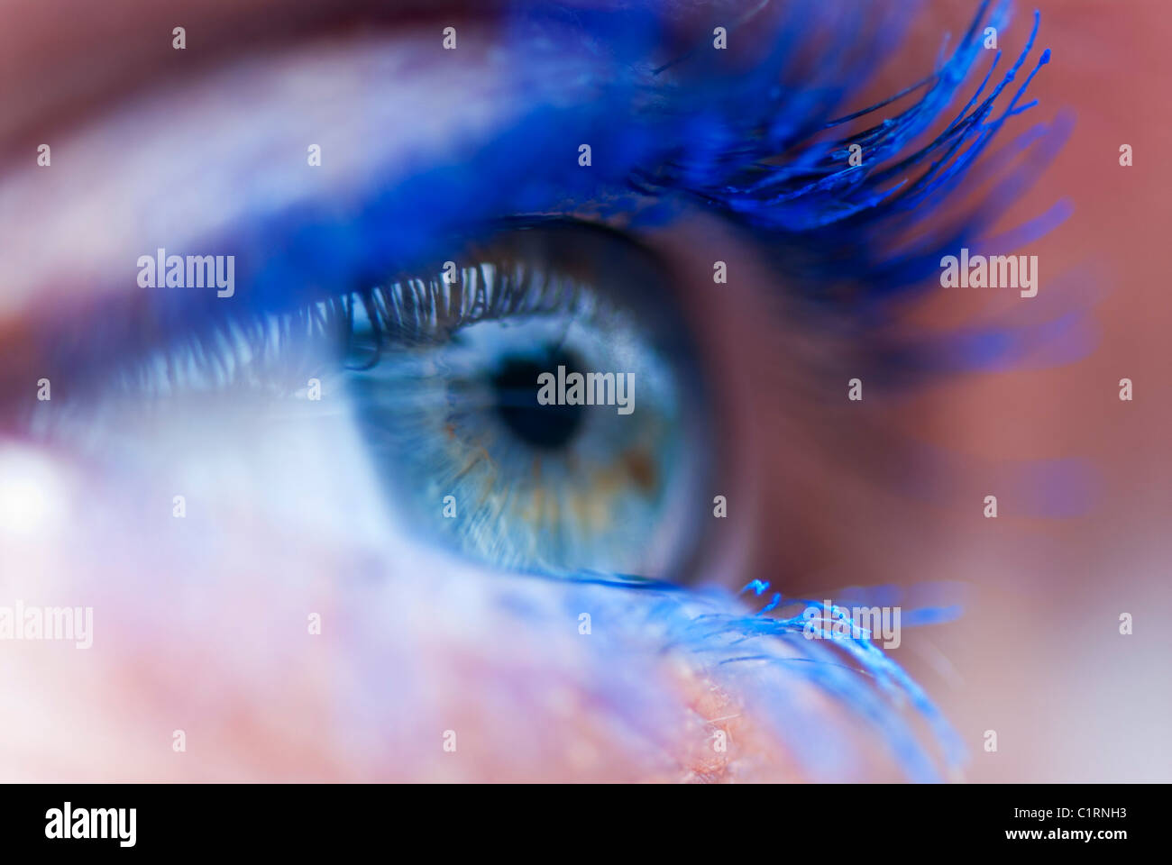 A beautiful blue eye is surrounded by bright blue eyelashes Stock Photo ...