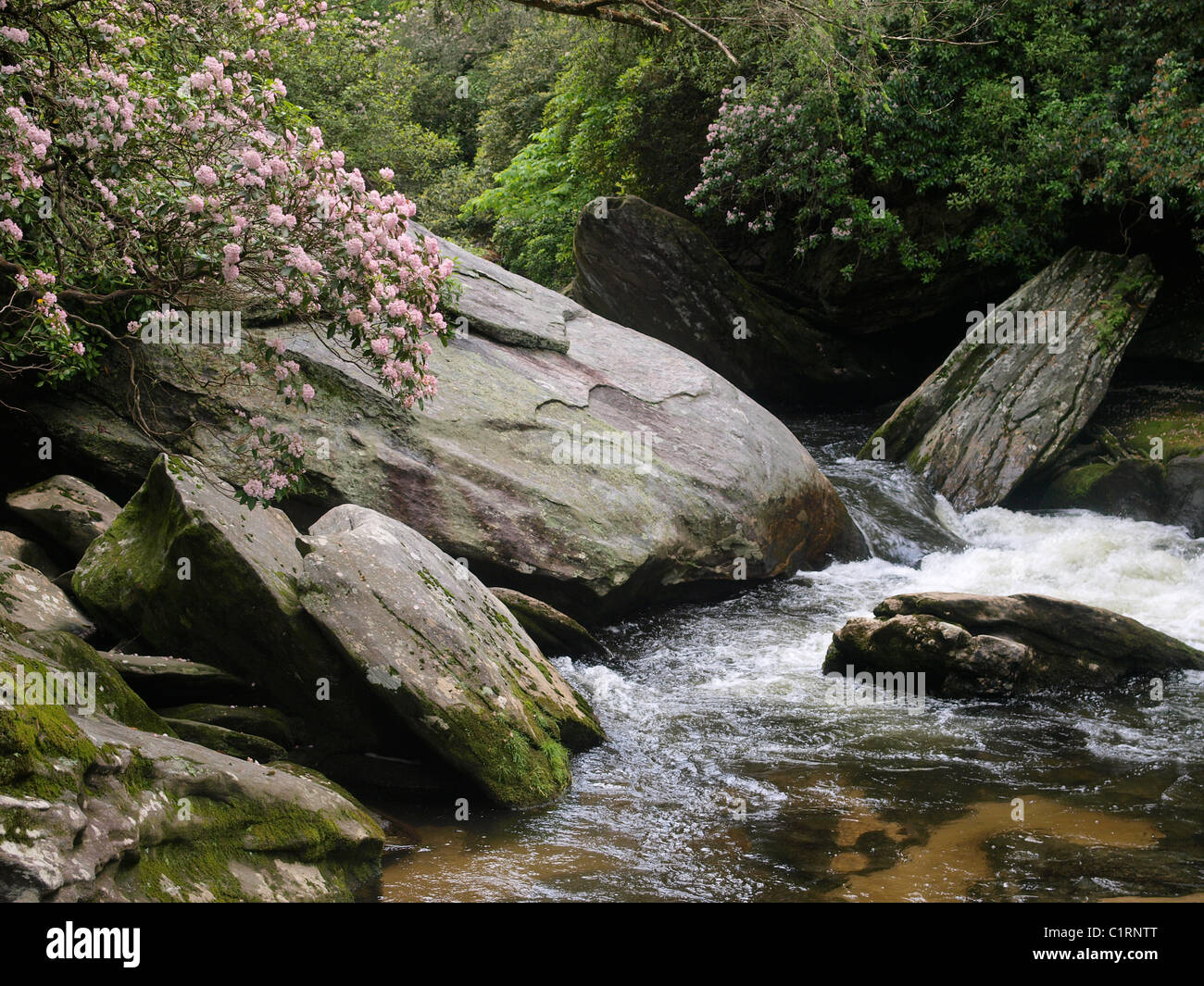 Chattooga river hi-res stock photography and images - Alamy