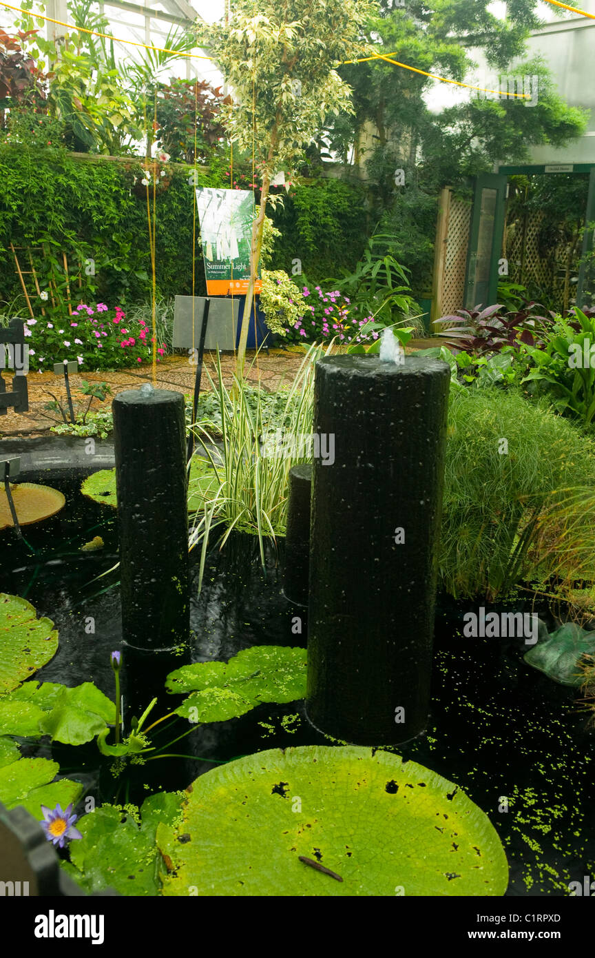 Lush water fountain at the Lincoln Park Conservatory, Chicago Stock ...