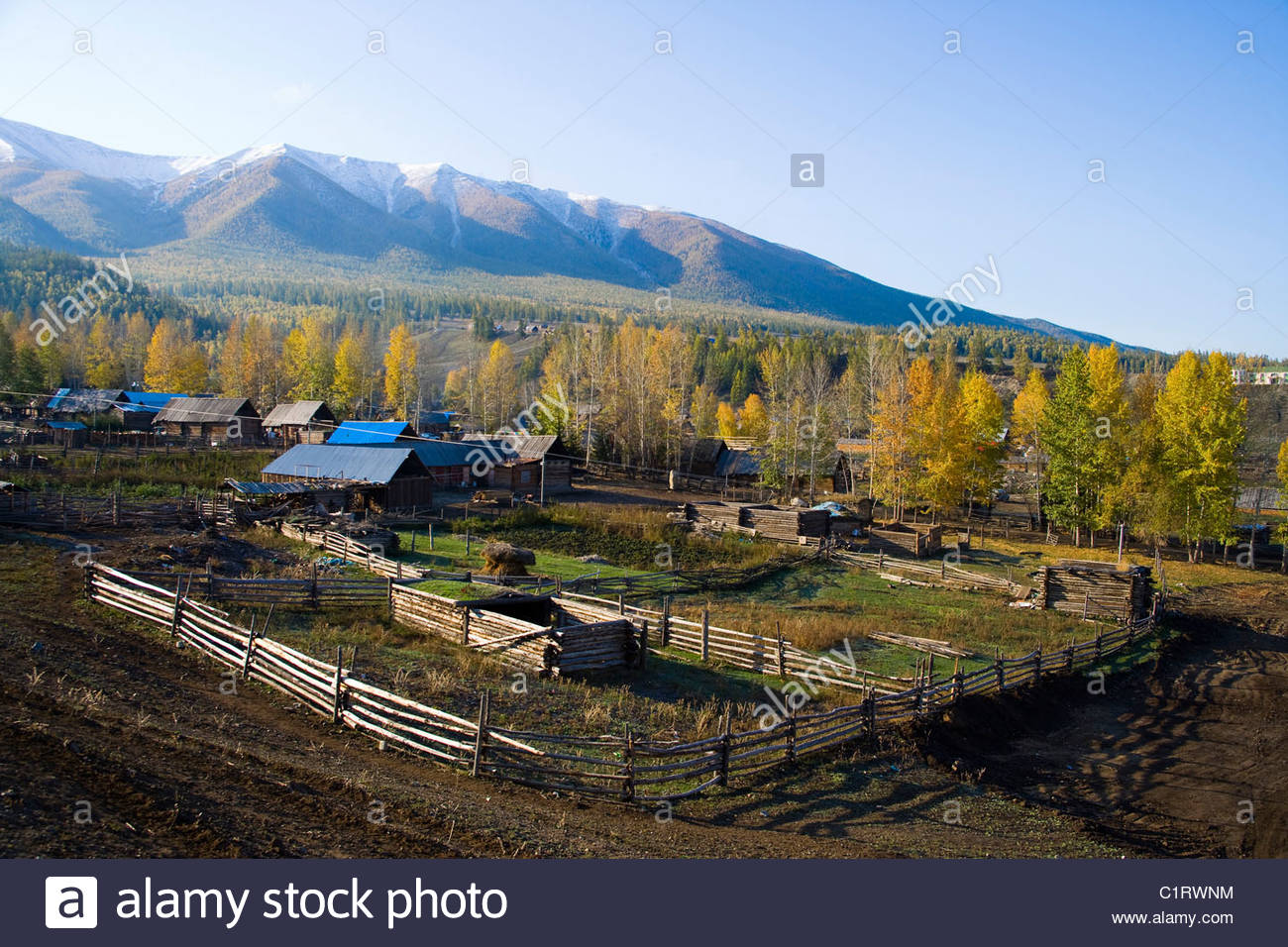 Haba Stock Photos & Haba Stock Images - Alamy