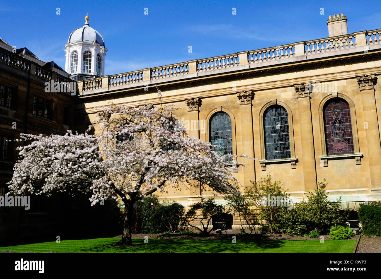 Clare College Chapel, Cambridge, England, UK Stock Photo - Alamy