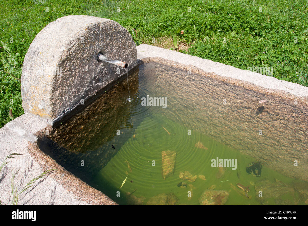 Farm water trough hi-res stock photography and images - Alamy