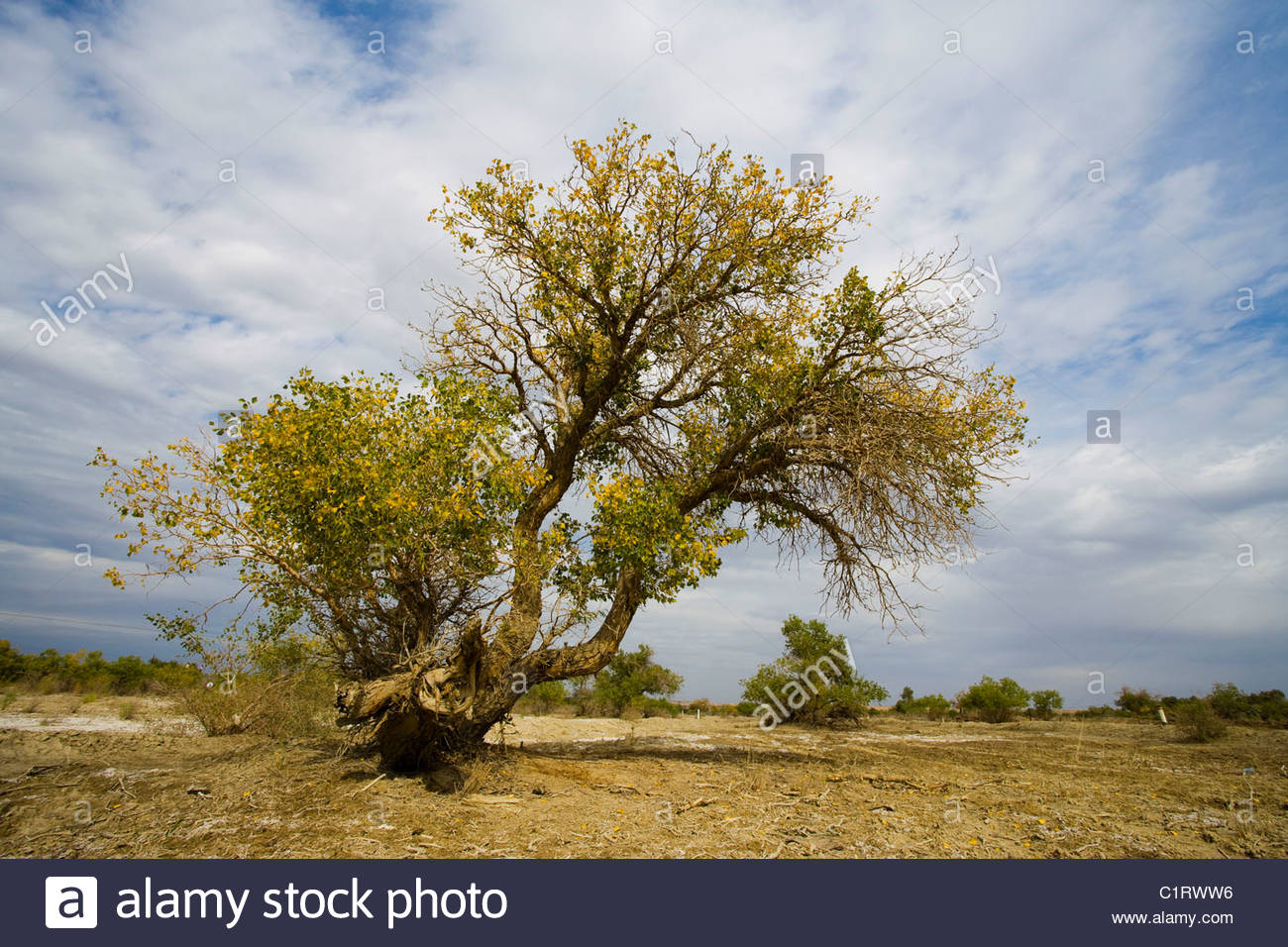Asia Dry Xinjiang Stock Photos & Asia Dry Xinjiang Stock Images - Alamy