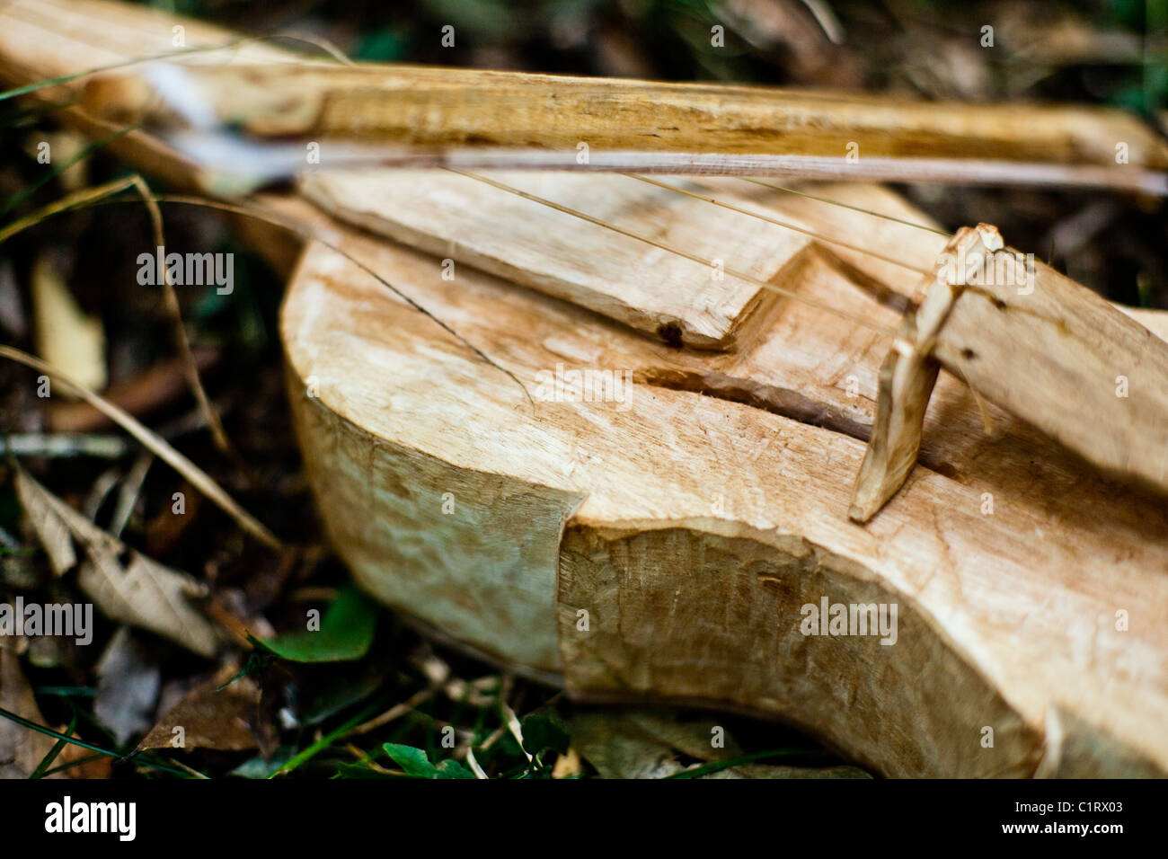 Hand-made Mbya Guarani indigenous violin. Aldea Katupyry near San ...