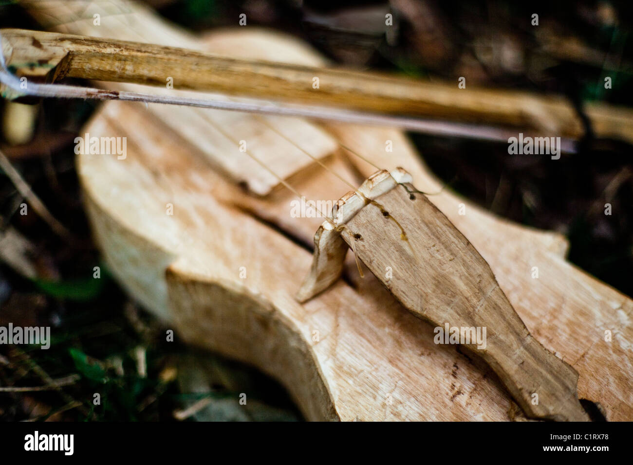 Hand-made Mbya Guarani indigenous violin. Aldea Katupyry near San ...