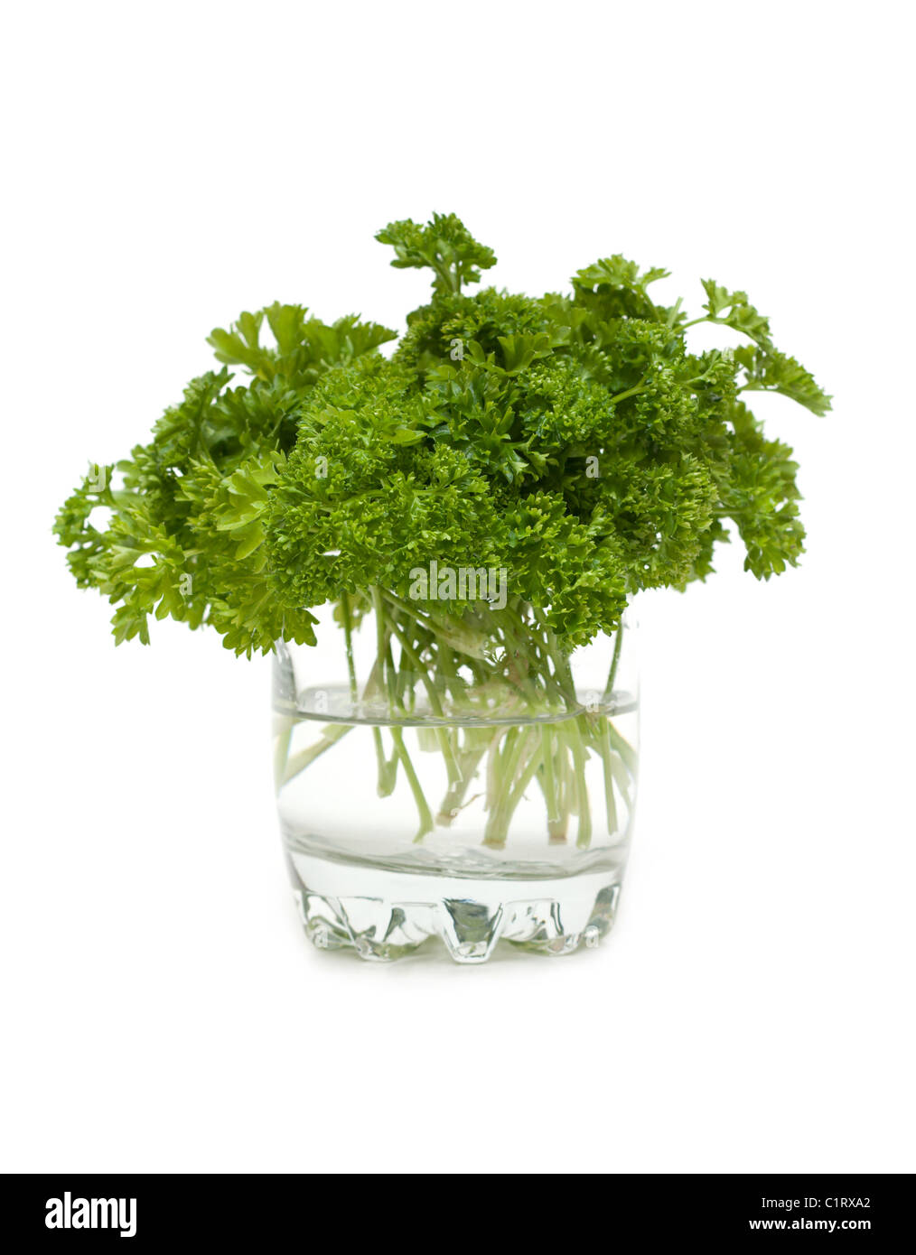 Green parsley in glass with water on white background Stock Photo - Alamy