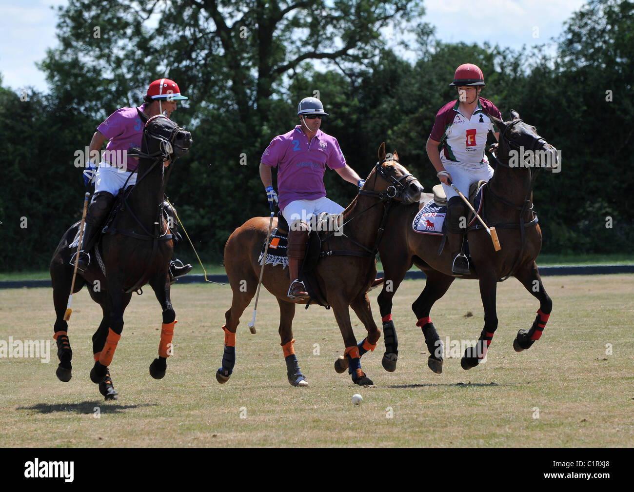 Polo event held at the Rutland Polo Club Stock Photo - Alamy