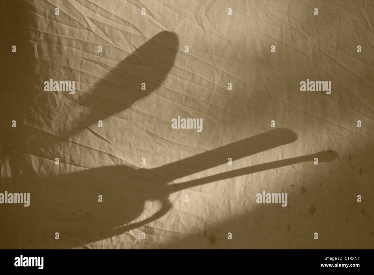 Scooter shadow hi-res stock photography and images - Alamy