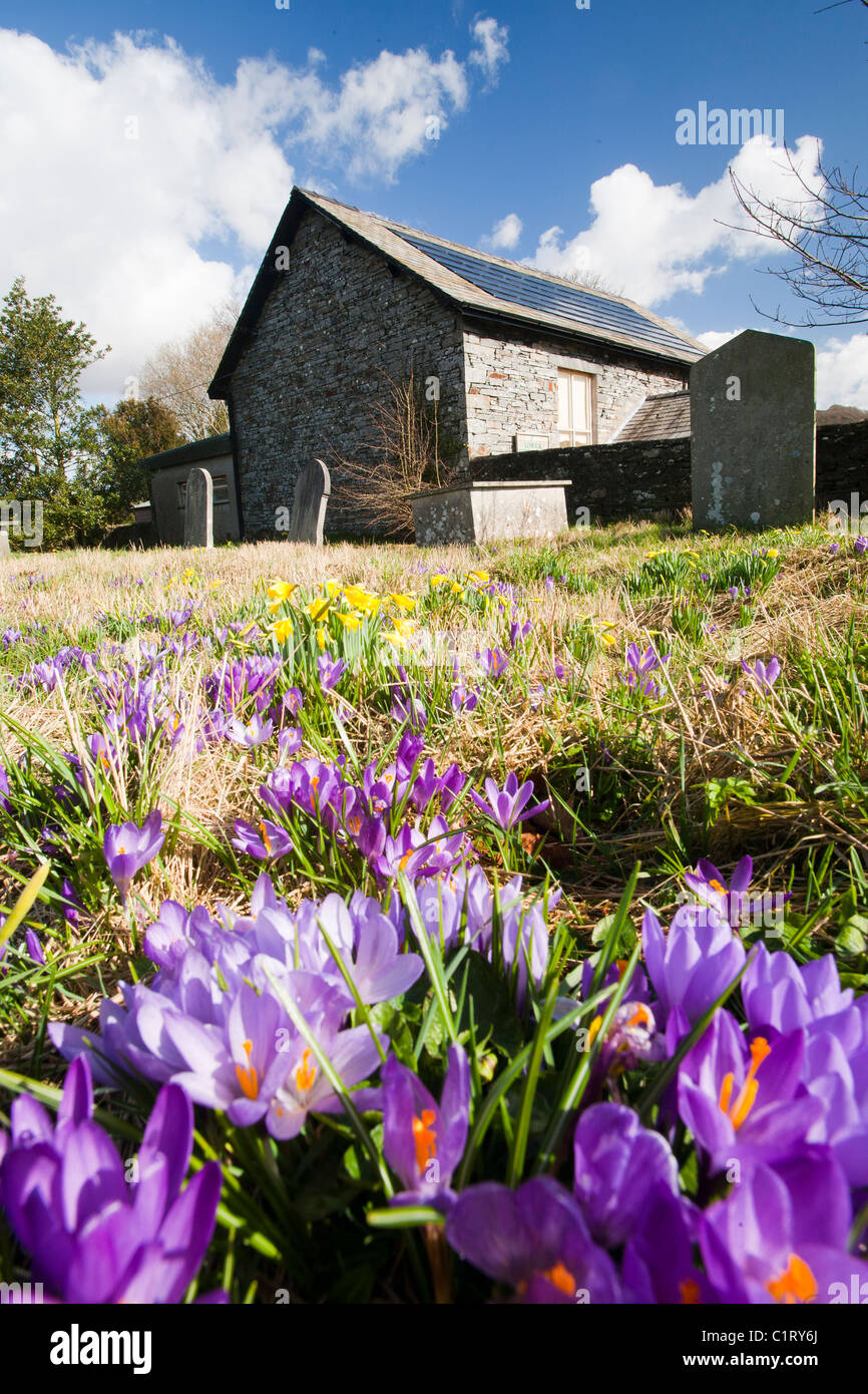 Global village hall hi-res stock photography and images - Alamy