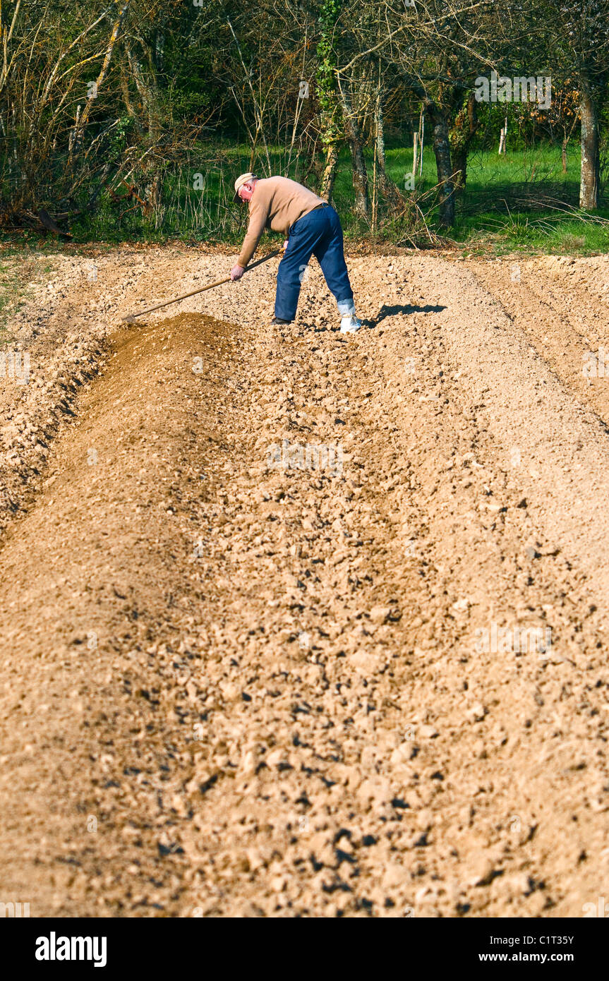 Old man preparing ground for potatoes - France Stock Photo - Alamy