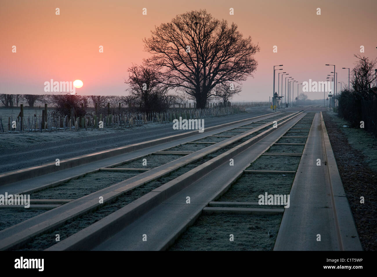The dawn of a new guided bus route. The Cambridge to Huntingdon guided ...