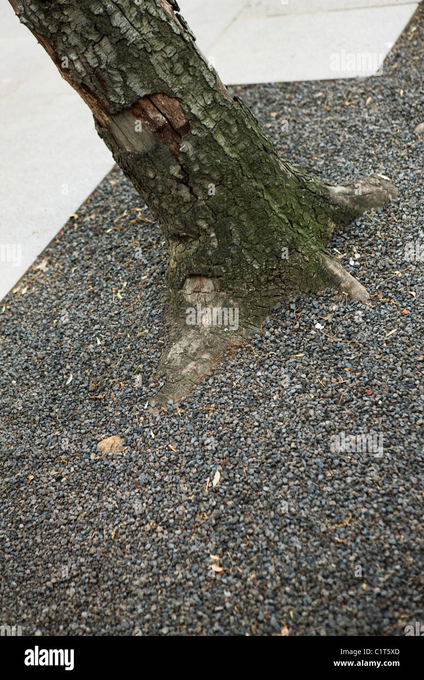 Stepping stone and gravel hi-res stock photography and images - Alamy