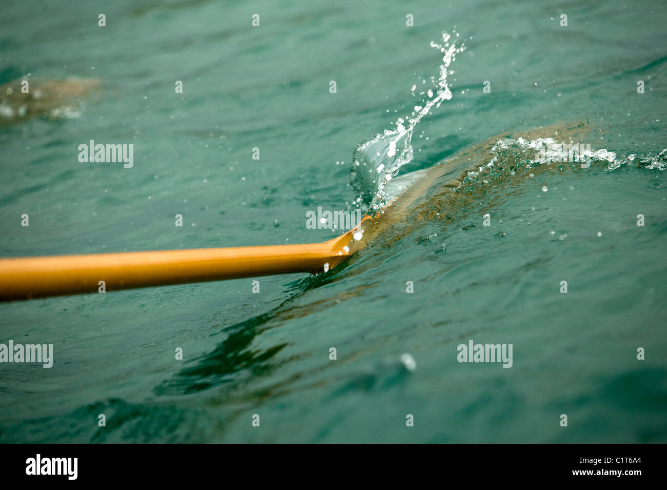Pilot Gig Rowing Oar High Resolution Stock Photography and Images - Alamy