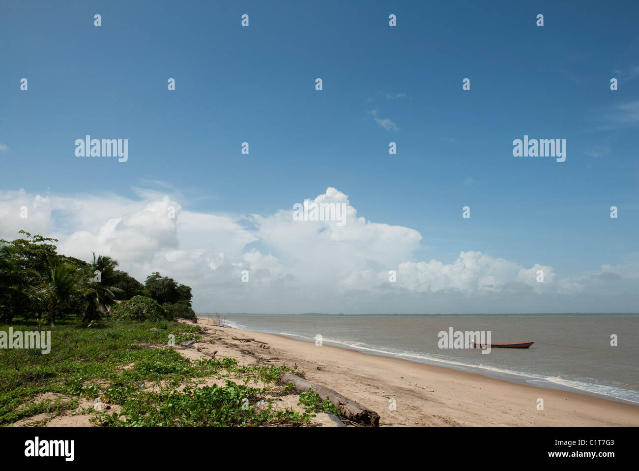 Beach scene, Amazonia, French Guiana, South America Stock Photo - Alamy