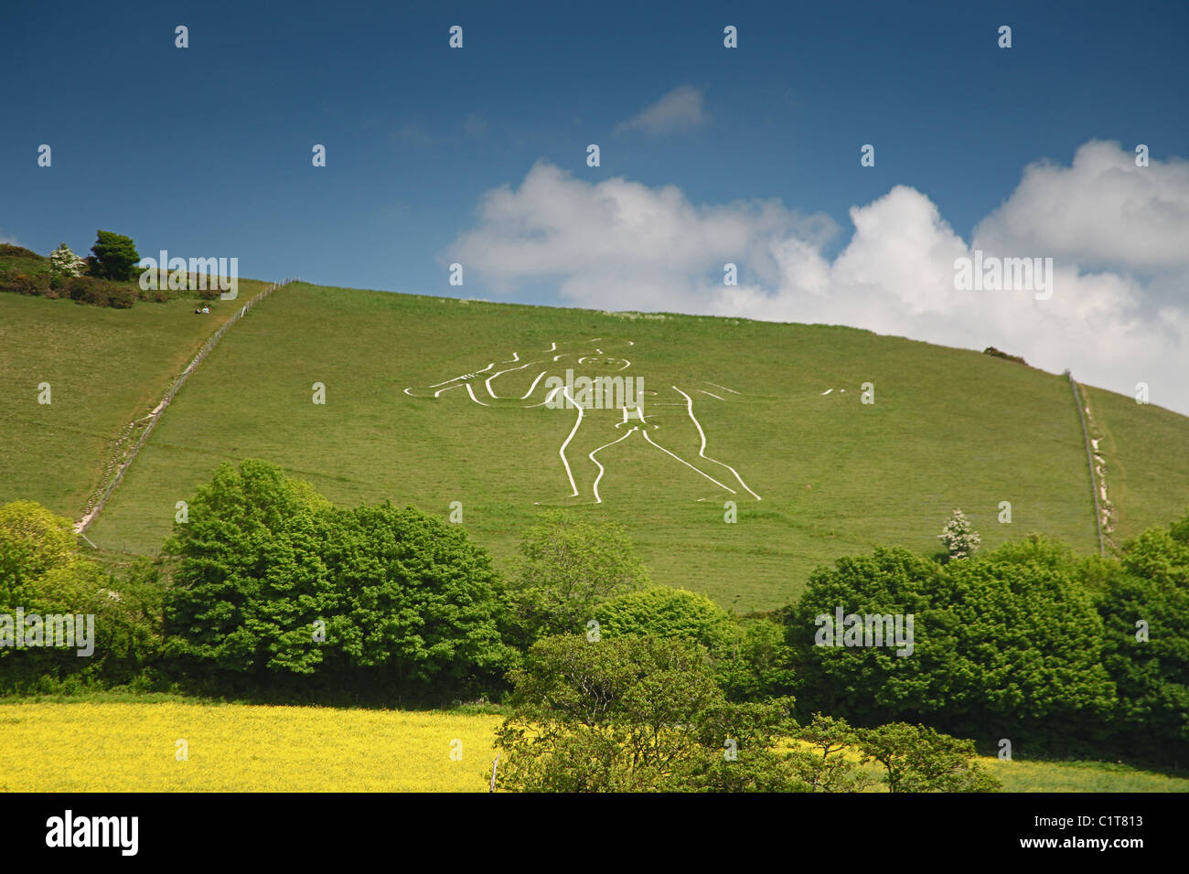 The Cerne Abbas Giant or 'Rude Man' - a chalk figure carved in the ...