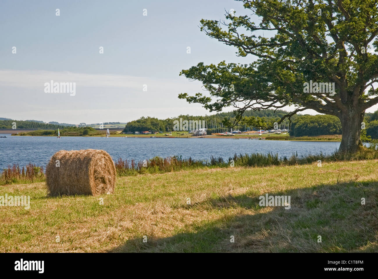 Roadford reservoir, devon hi-res stock photography and images - Alamy