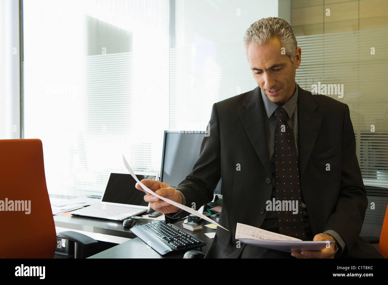 Executive reading report in office Stock Photo - Alamy