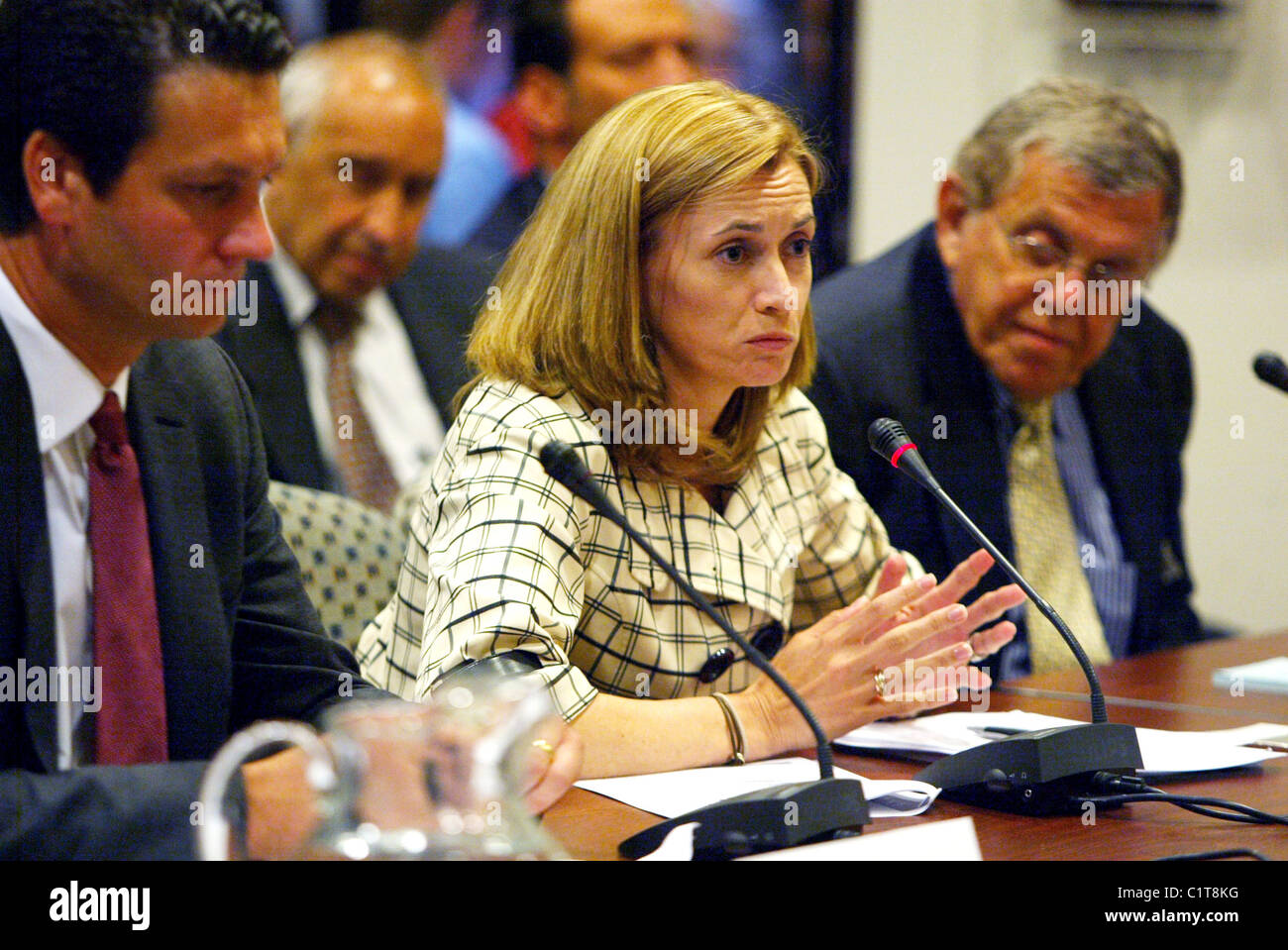 Don Casturo, Goldman Sachs; Blythe Masters, JP Morgan; Dr. Henry ...