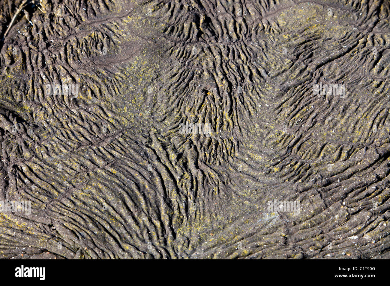 Patterns in tar Stock Photo - Alamy