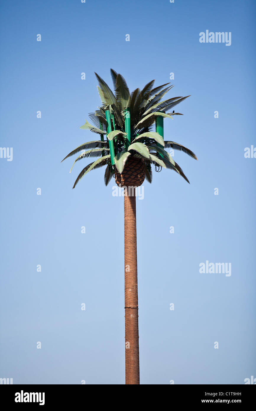 Mobile phone cell tower decorated like a palm tree Henderson, NV Stock ...