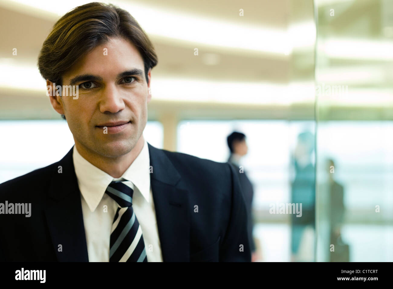 Male executive, portrait Stock Photo - Alamy