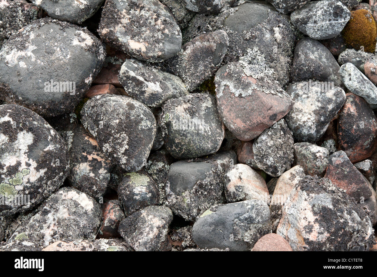 Sea stone in old moss in the manner of background Stock Photo - Alamy