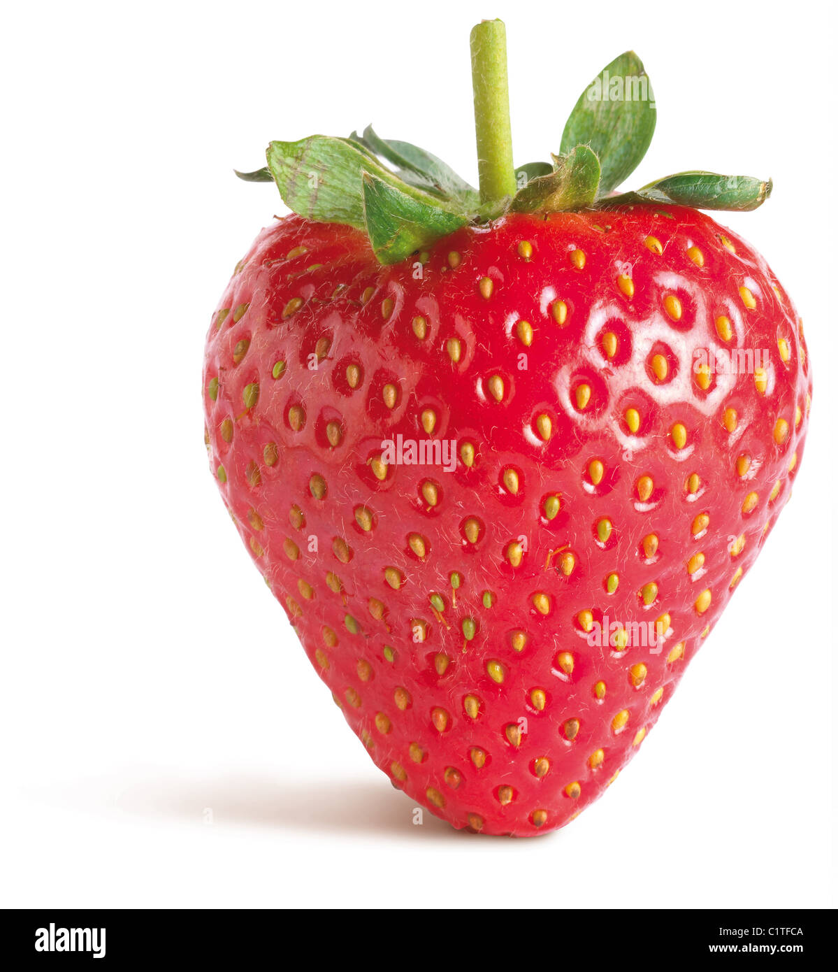 a side view of a juicy single fresh red strawberry isolated on a white ...