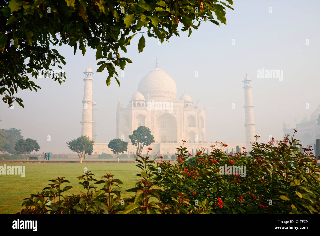 Flowers in a park with a mausoleum in the background, Taj Mahal, Agra ...