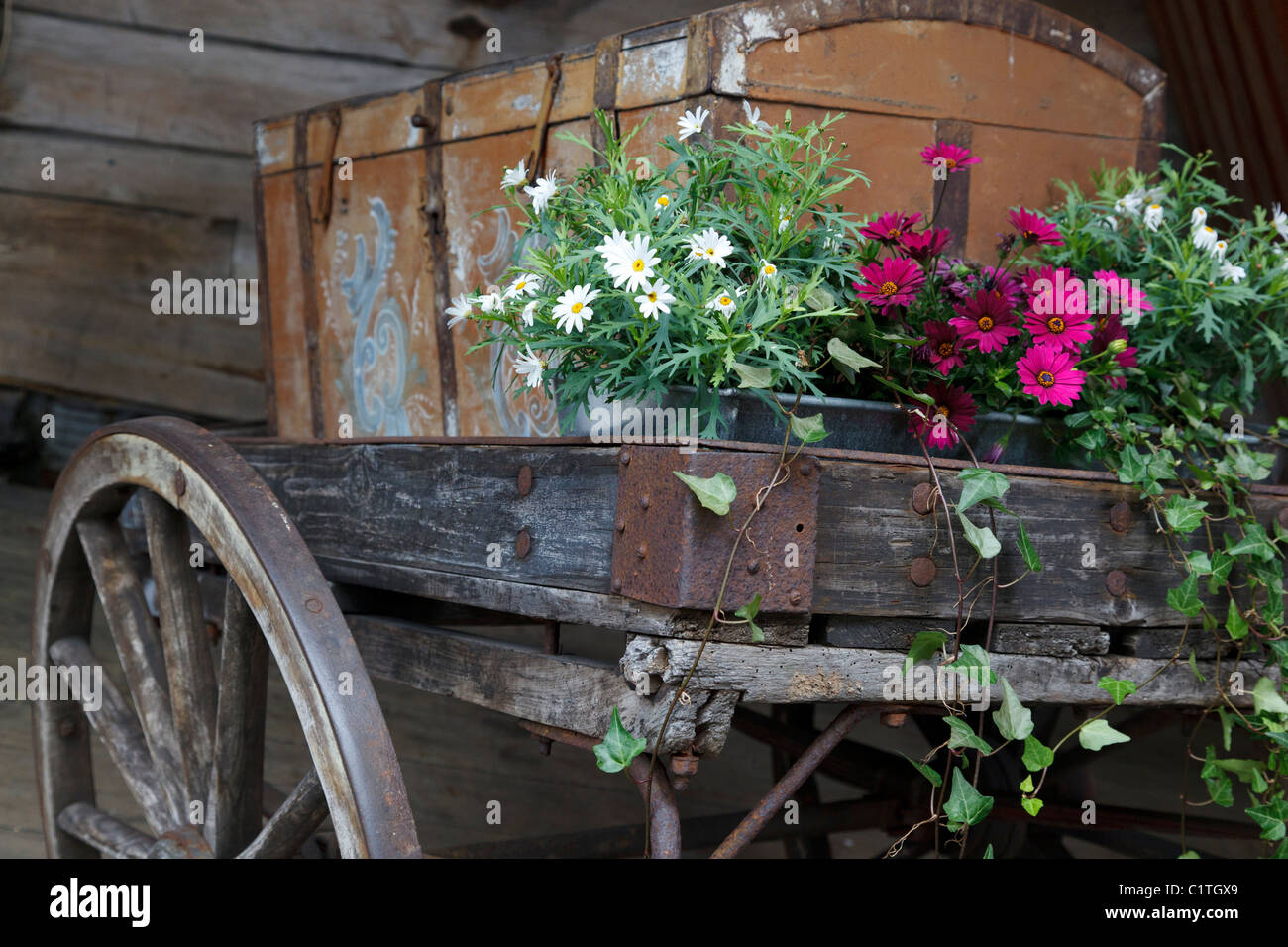 Hand cart flowers hi-res stock photography and images - Alamy