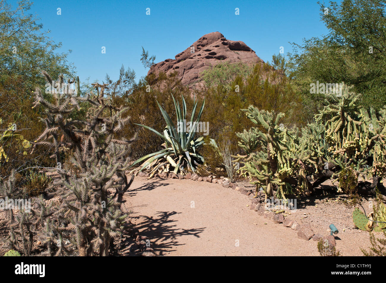 Botanical garden trail hi-res stock photography and images - Alamy